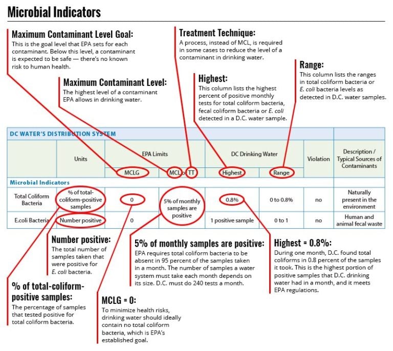 Guide to Safe Tap Water and Water Filters