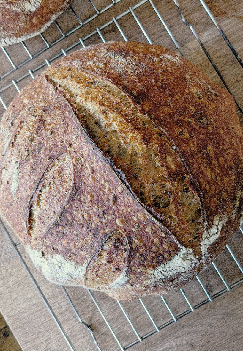 Well-Fed | Food & Water Watch