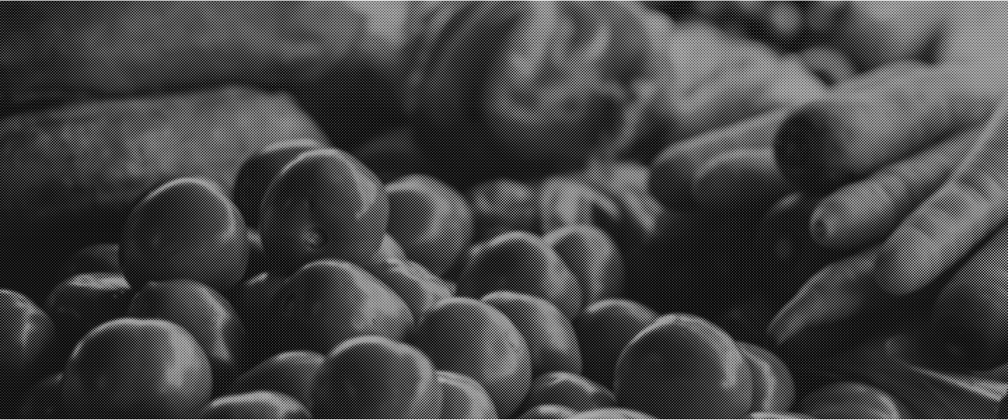 Kroger Acquisition Plan Will Harm Consumers | Food & Water Watch