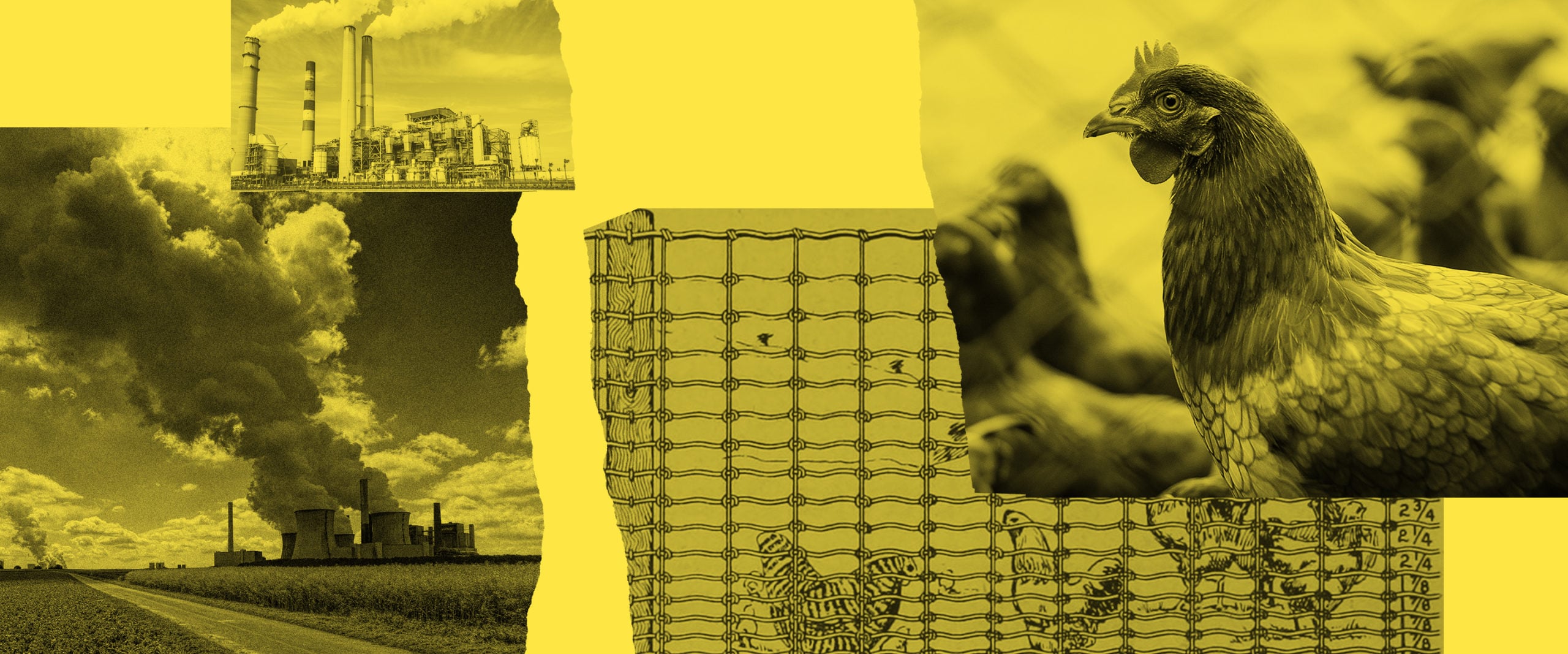 Debunking Delaware Biogas: The Truth Behind Industry Lies
