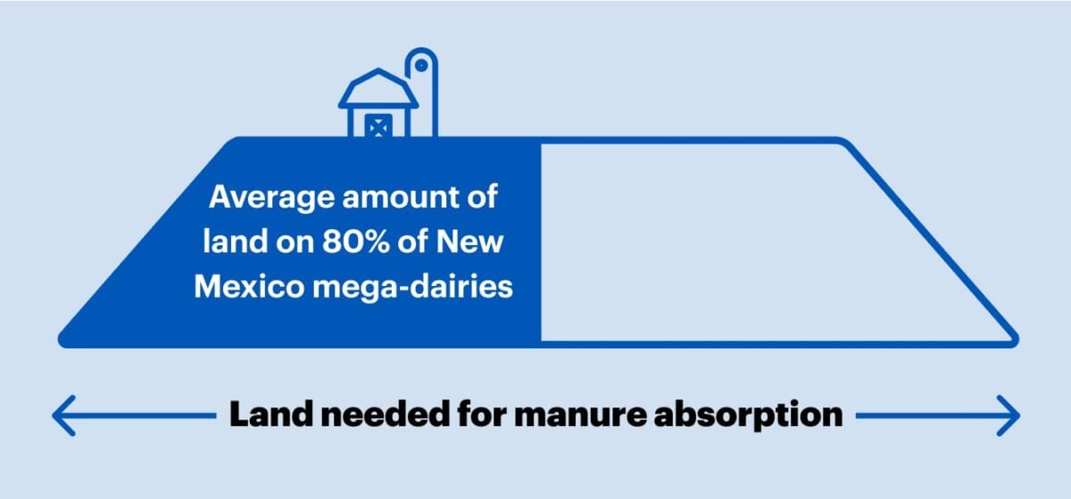 Big Ag Fuels New Mexico’s Water Crisis