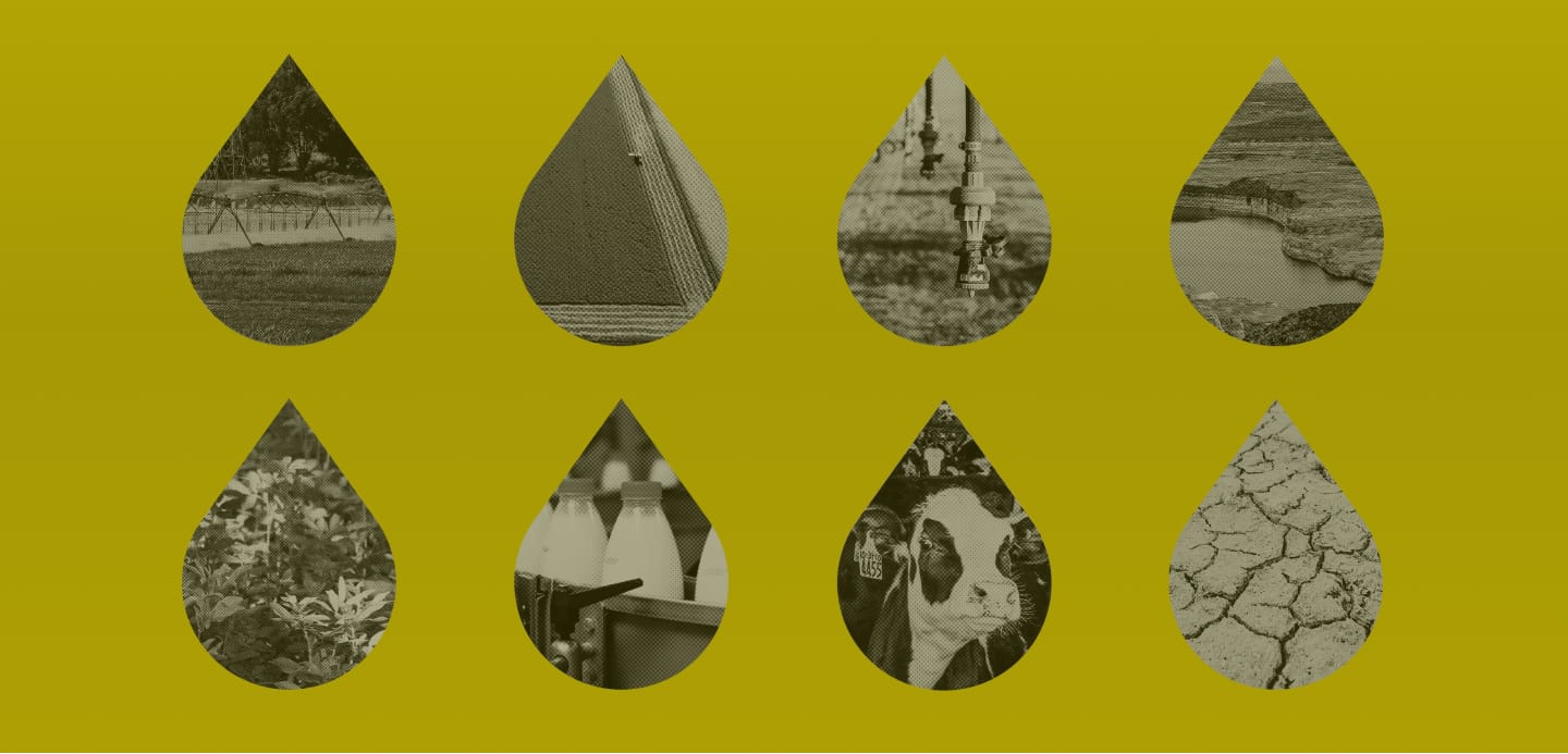 Big Ag Is Draining The Colorado River Dry | Food & Water Watch