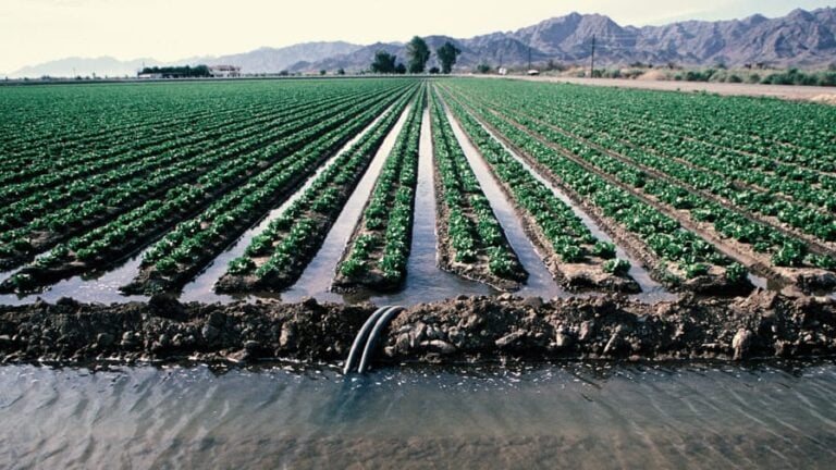 How Do Water Rights Work in the West? | Food & Water Watch