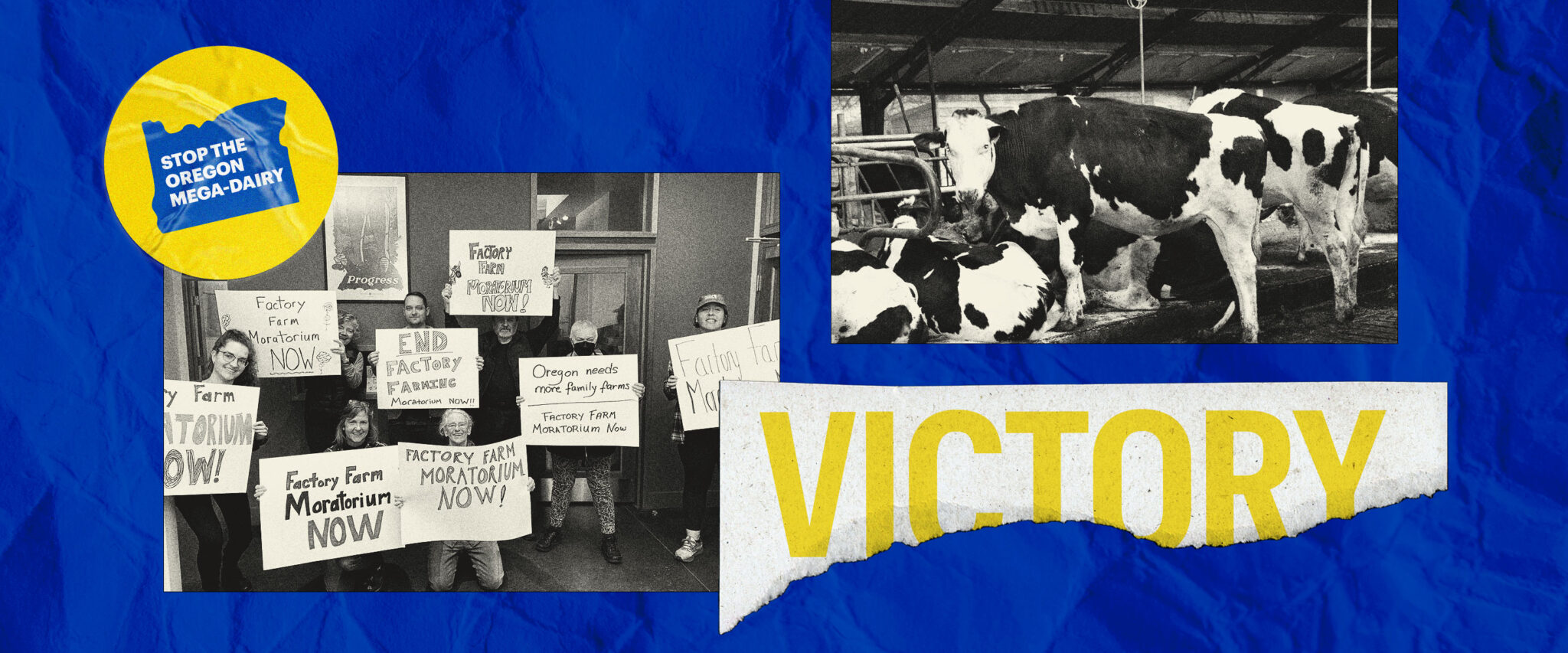 Our Years-Long Quest to Stop the Easterday Mega-dairy