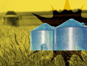 What Is Supply Management and How Can It Save Our Food System?