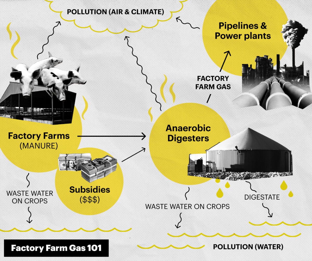 What is factory farm gas? | Food & Water Watch