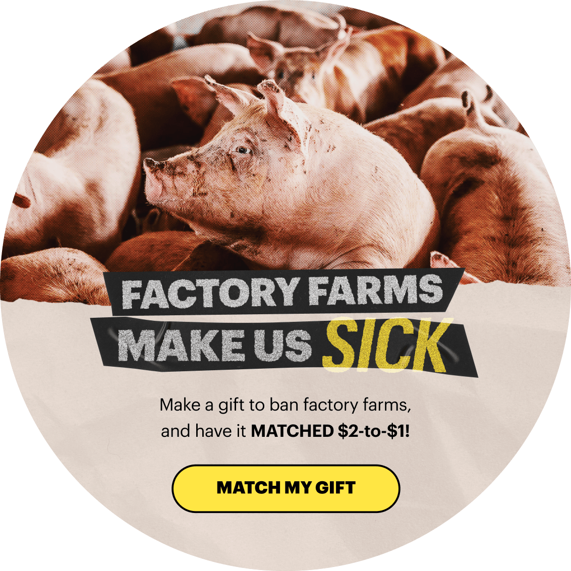 Food & Water Watch | Food & Water Watch