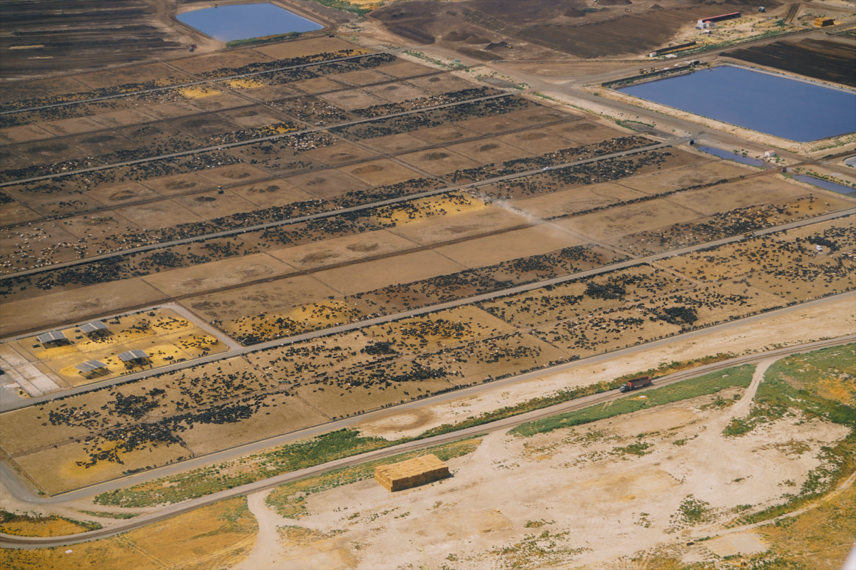 What Oregon’s Mega-Dairies Don’t Want You to See