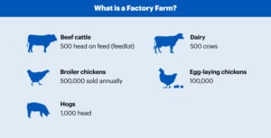 Factory Farm Nation: 2024 Edition