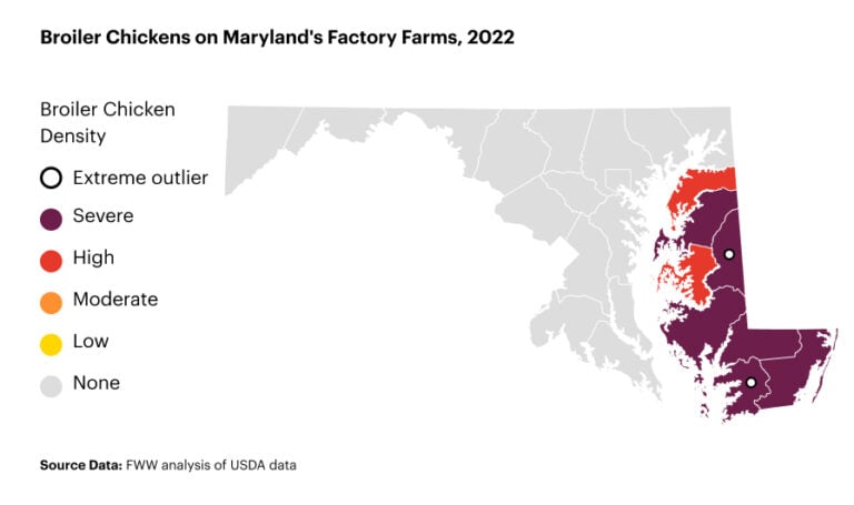 Factory Farm Nation: 2024 Edition