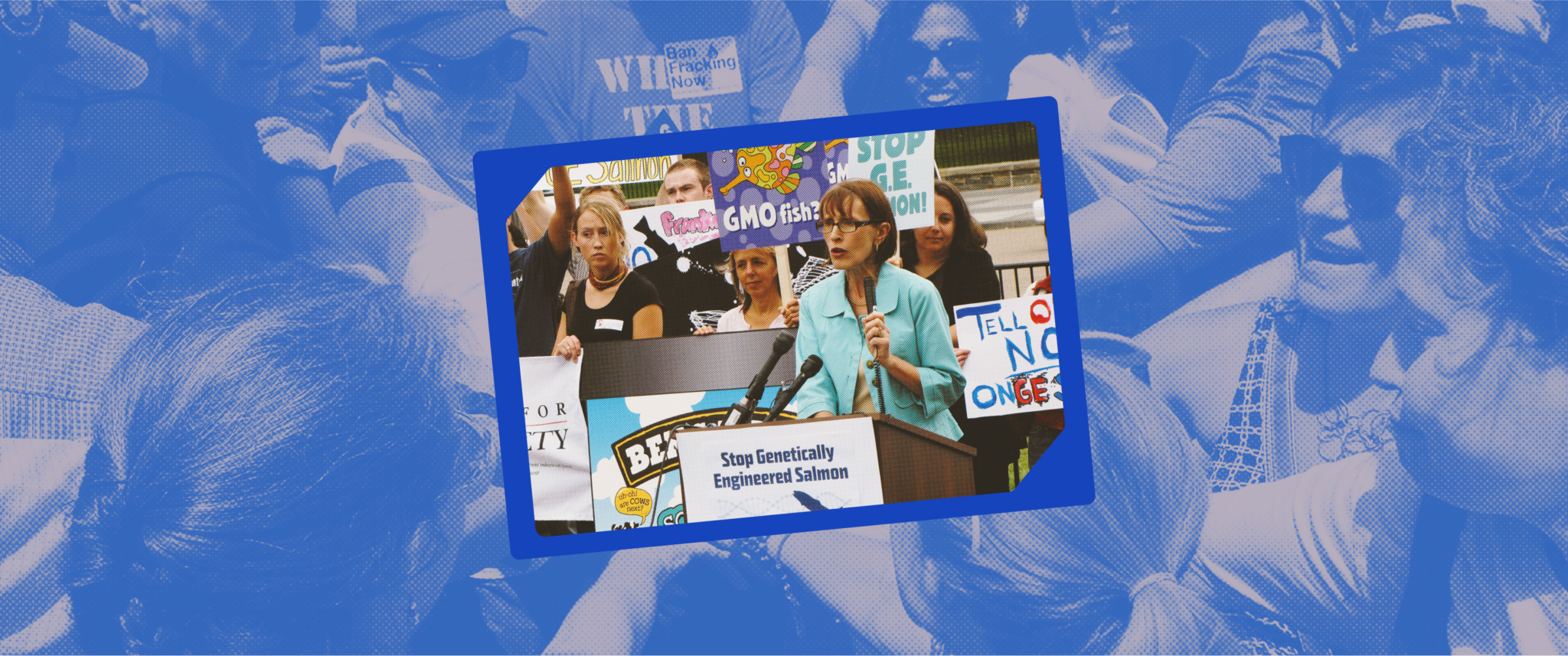 Against All Odds: An Interview With Wenonah Hauter